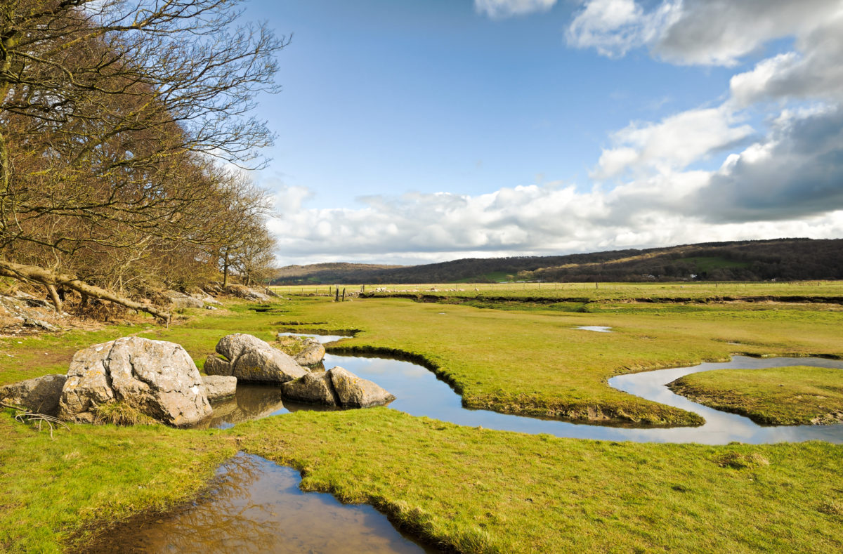 Book a Stay in The Pepper Pot Cottage - The Royal Silverdale